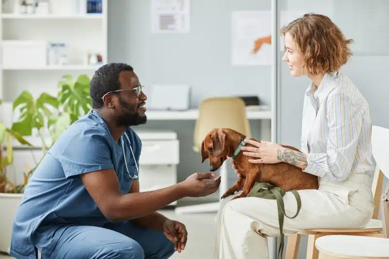 Veterinary Home Loans - Tailored Financing for Veterinarians